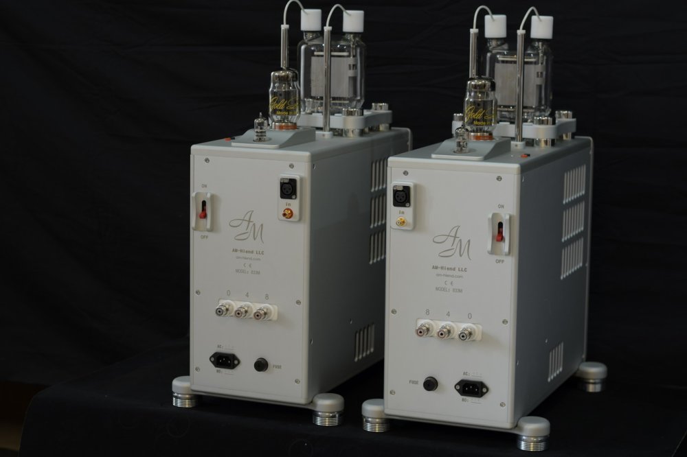 AM 833M Monoblock Amplifier :: SuperHiFi